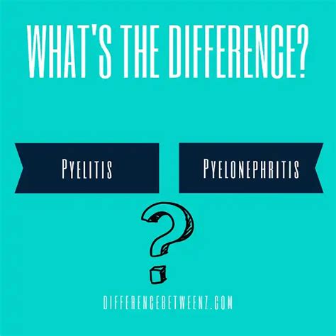 Difference Between Pyelitis And Pyelonephritis Difference Betweenz