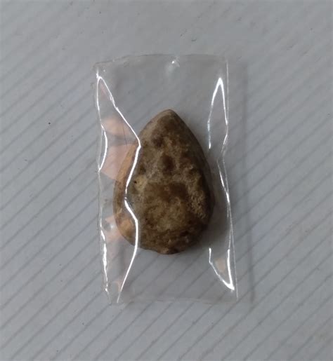 พระผงกลีบบัวพระครูใบฎีกาเกลี้ยง วัดสุทัศน์ พระเครื่อง พระแท้ Webpra เว็บ พระ คอม