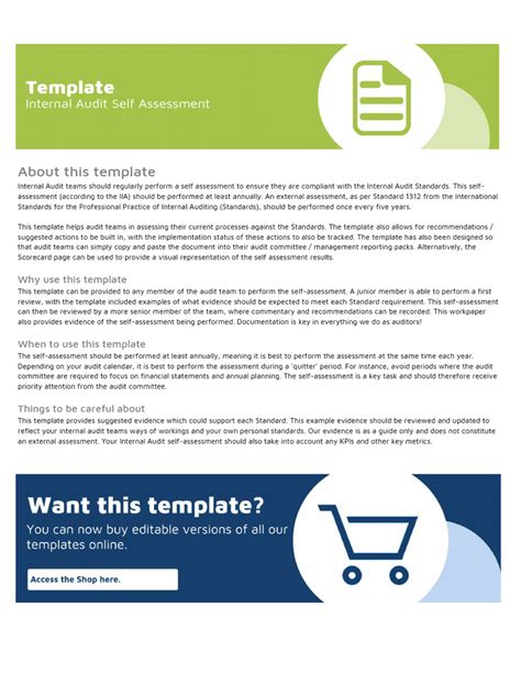 Internal Audit Self Assessment Guide Pdf