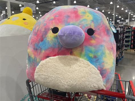 Squishmallows Snuggle Throw 19 99 At Costco