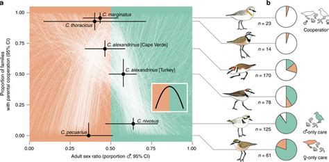 Relationship Between Parental Cooperation And The Adult Sex Ratio A Download Scientific