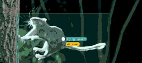 【建议收藏】50个含源码和数据集的深度学习计算机视觉实战项目 知乎