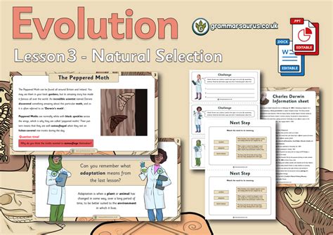 Year 6 Science Evolution Natural Selection Lesson 3 Grammarsaurus
