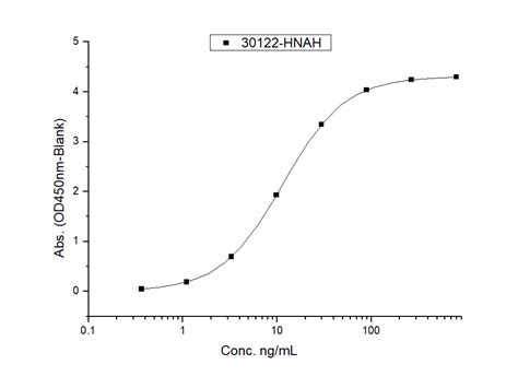 Recombinant Human Gcgr Protein 30122 Hnah Sino Biological
