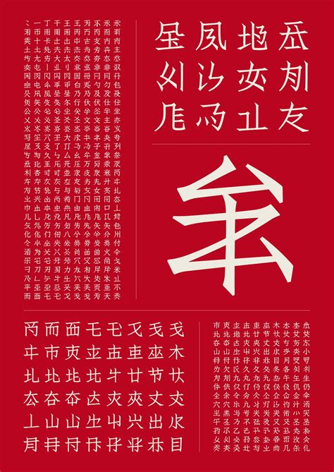 Noto Fangsong Khitan Small Script Type Directors Club