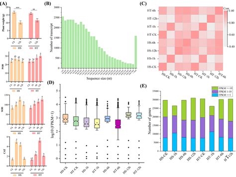 Phenotypic Effect And Overview Of Rna Sequencing Data Based On Download Scientific Diagram