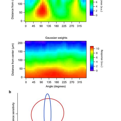 Figure S6 Information About Location Within The Receptive Field Center