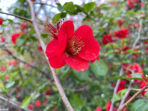 Apple Ios Devices Now Support Web Push Notifications