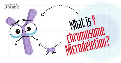 What Is Y Chromosome Microdeletion And How Does It Occur Genetic Education