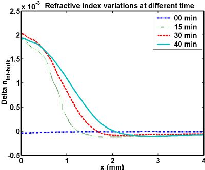Refractive Index Variations Profiles Observed In The Cell At Different Download Scientific