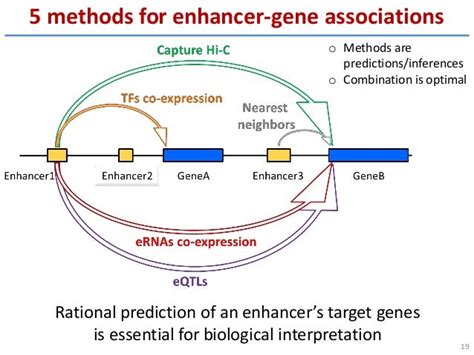 Disease Interpretation Of Whole Genome Sequence Variants