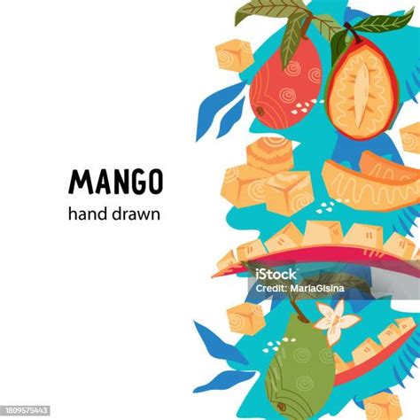장식적인 밝은 프레임 또는 테두리 망고 벡터 일러스트 레이 션과 카드 디자인 건강한 식생활에 대한 스톡 벡터 아트 및 기타