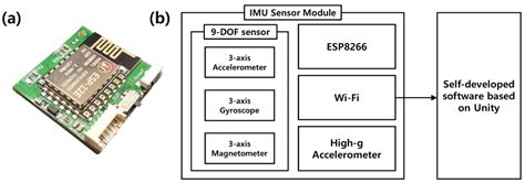 Development Of An Inertial Sensor Module For Categorizing Anomalous