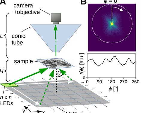 Optical Measurement Of Feature Dimensions And Shapes By Scatterometry