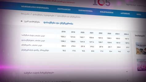 დასაქმებულთა სადაო სტატისტიკა ვის სჯერა უმუშევრობის ინდექსის Youtube