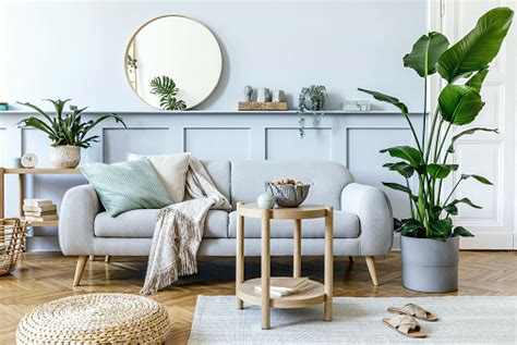 디자인 회색 소파 코페 테이블 푸프 바구니 선반 거울 열대 식물 장식 카펫 베개 및 현대적인 가정 장식의 우아한 개인 액세서리가있는 세련된 거실 인테리어 0명에 대한 스톡