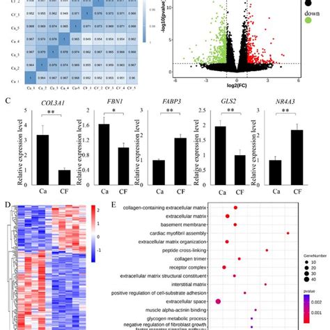 Transcriptome Analysis Of Leg Muscle Samples From Cage Free And Caged