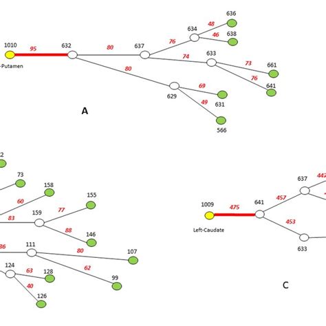 Three Examples Of The Growing Subgraphs Observable In The Consensus