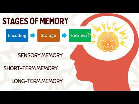 Memory Encoding Storage Retrieval