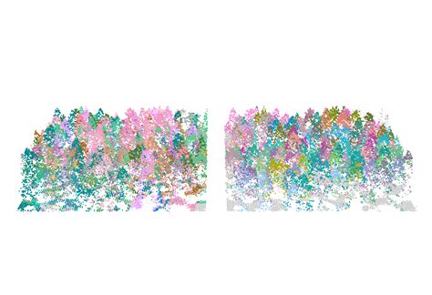 8 Indivitual Tree Dectection And Segmentation The Lidr Package