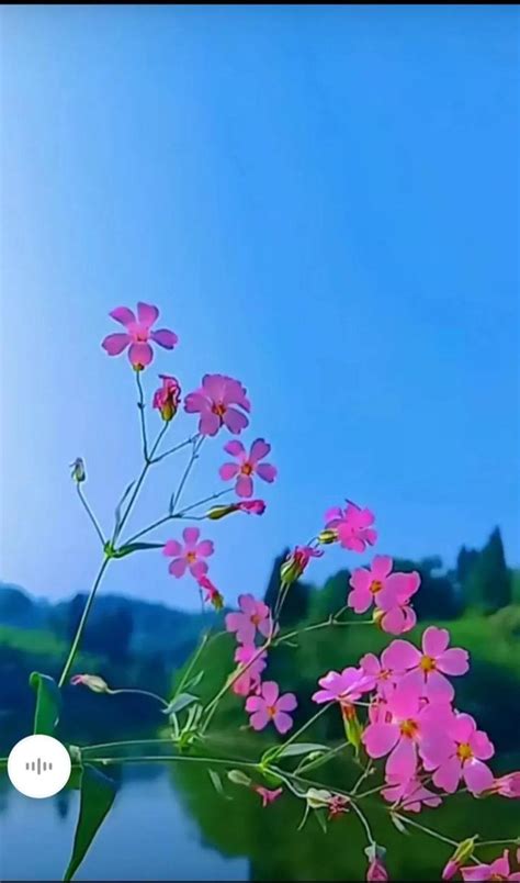 史鐵生釋然一生 每日頭條