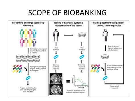 Biobanking Pptx