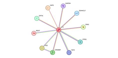 The Htt Gene And Its Putative Association With Human Ageing
