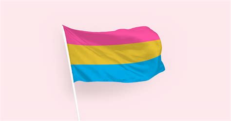 What Is The Pansexual Pride Flag And What Does It Mean