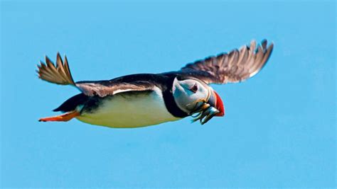 Geogarage Blog How Ancient Navigation Techniques Can Still Help Sailors Today