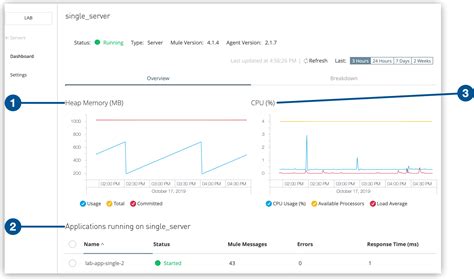 View Server Information Hybrid Mulesoft Documentation