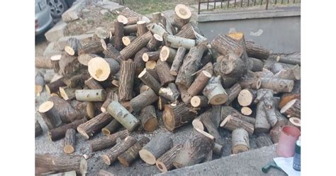 Двама в ареста избягали от полицейска проверка на камион с дърва