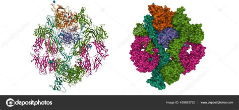Structure Complement Complex Cartoon Gaussian Surface Models Differently Colored Protein — Stock