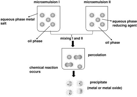 Synthesis Of Nanoparticles In Microemulsion System 64 Download