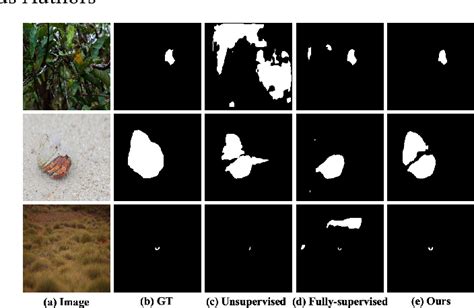 Figure 1 From Text Prompt Camouflaged Instance Segmentation With