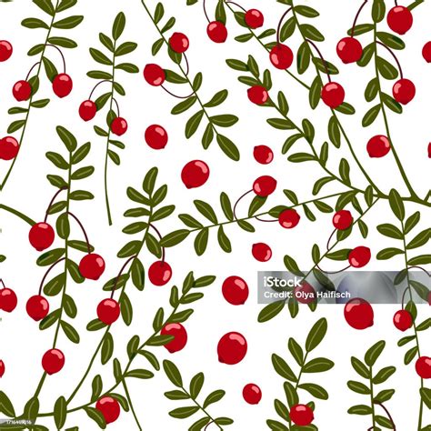 크랜베리 심리스 패턴 북부의 붉은 열매와 나뭇가지에 나뭇잎 벡터 그림이 있다 하얀 배경에 분리된 타르트 숲 과일 손으로 그린 만화 유기농 건강 식품 배경 건강한 식생활에