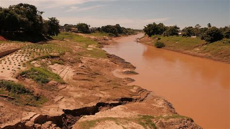 The Amazon Rainforest Is Approaching A Tipping Point In Rio Branco