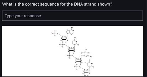 What Is The Correct Sequence For The DNA Strand Chegg