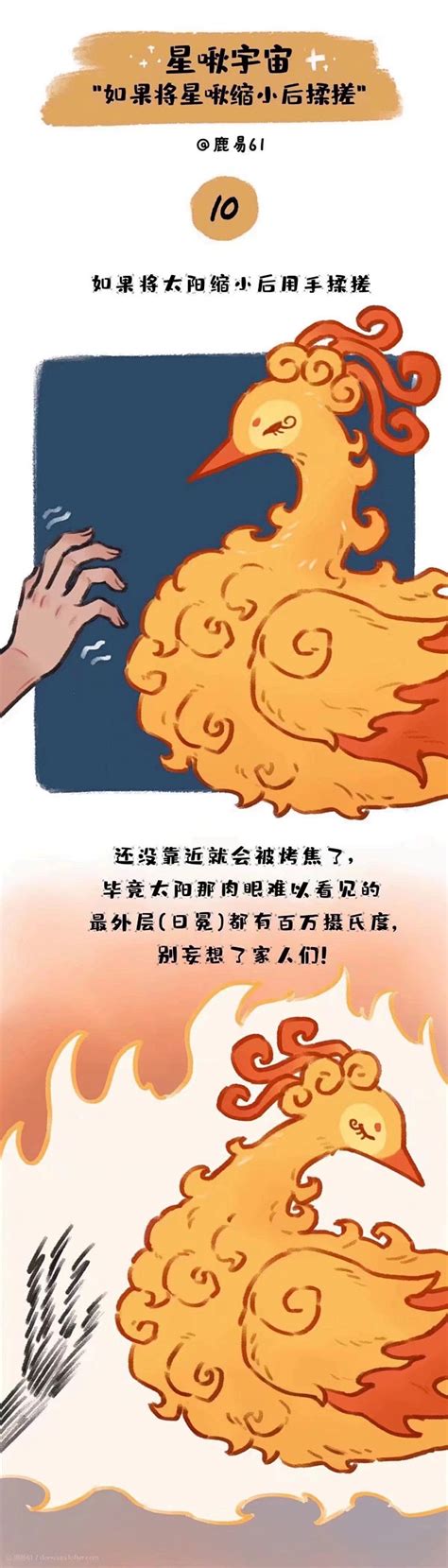 星啾宇宙！rua星球小鸟会怎么样呢？超级可爱的科普短漫~‥ 作者：鹿易61