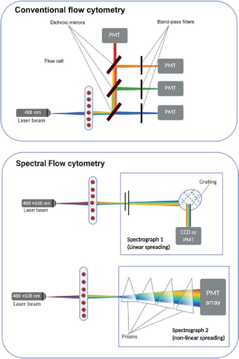 Ccd Vs Pmt Spectrometer At Alan Fortune Blog