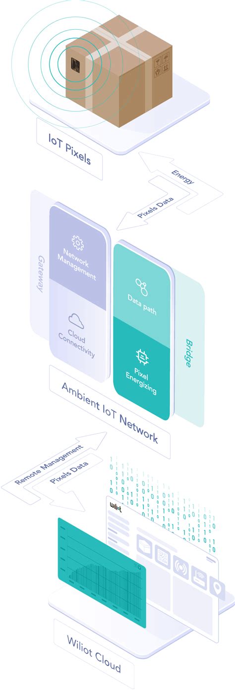 Network Infrastructure