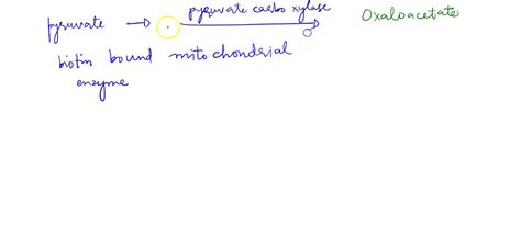 Solved In Certain Microbes The Analogous Reaction To The Conversion Of Pyruvate To Lactate Is