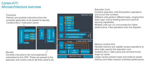Arm Cortex X1 Brings The Fight To Apple S Powerhouse CPUs Android Authority