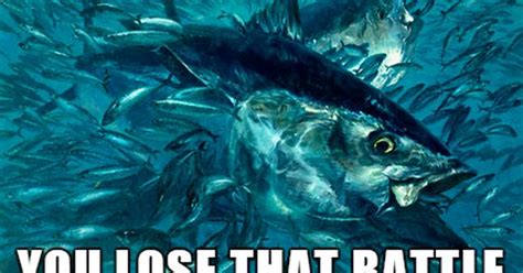 You Just Lost To Your Own Game Meme On Imgur