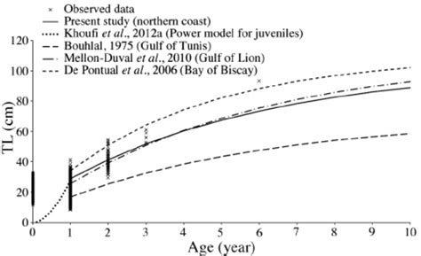 Von Bertalanffy Model For Hake Combined Sex Off The Northern Coast In