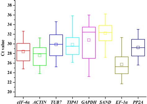 Selection Of Reliable Reference Genes For Quantitative Rt Pcr In Garlic
