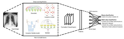 Using Fine Tuned Deep Neural Networks For Automated Diagnosis Of COVID