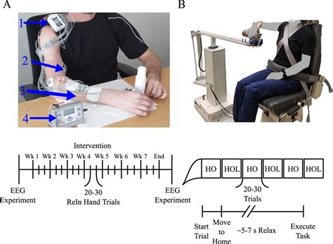 Depiction Of The Setup For The Intervention And EEG Experiment A Download Scientific Diagram