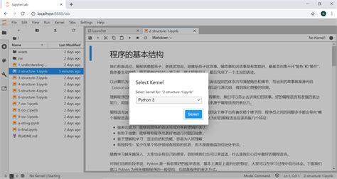Error Starting Kernel · Issue 429 · Neoleepilot · Github