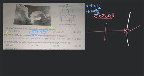 Find The Zeroes Of The Polynomial Represented By The Graph Filo
