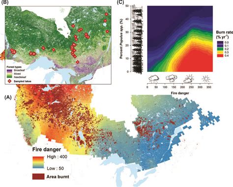 Simplified Representation Of Interactions Between Fire Vegetation And